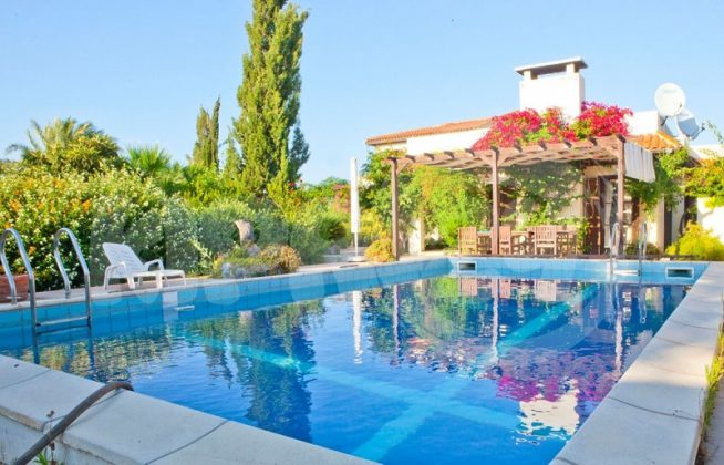 Piscine Mosaic: photos, spécifications, avantages, inconvénients